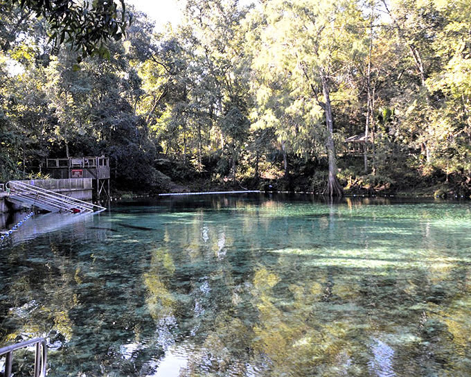 Main Spring Head: Behold the aquatic jewel of Levy County &ndash; where 65 million gallons of crystal clarity bubble up daily from Florida's underground labyrinth.