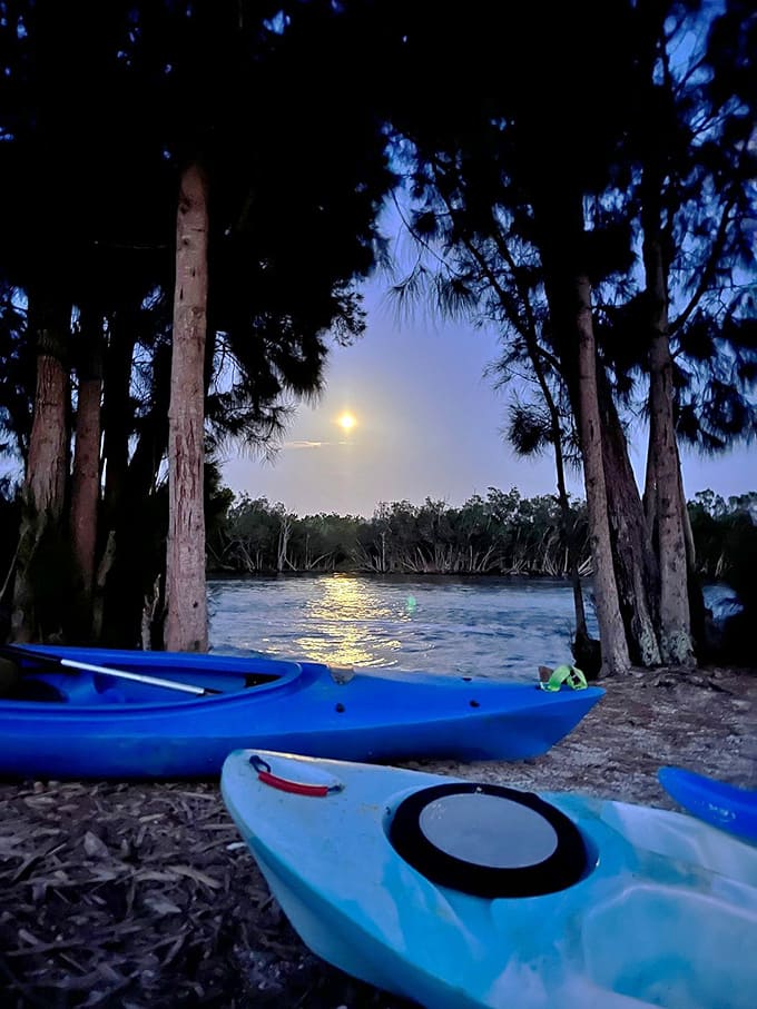 These kayaks are your vessels for exploring a liquid galaxy, no spaceship required for this journey.