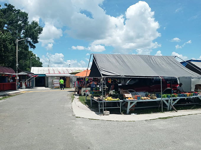Nature's jewels displayed with pride &ndash; these fruits and vegetables look so fresh they might just jump into your shopping bag themselves.