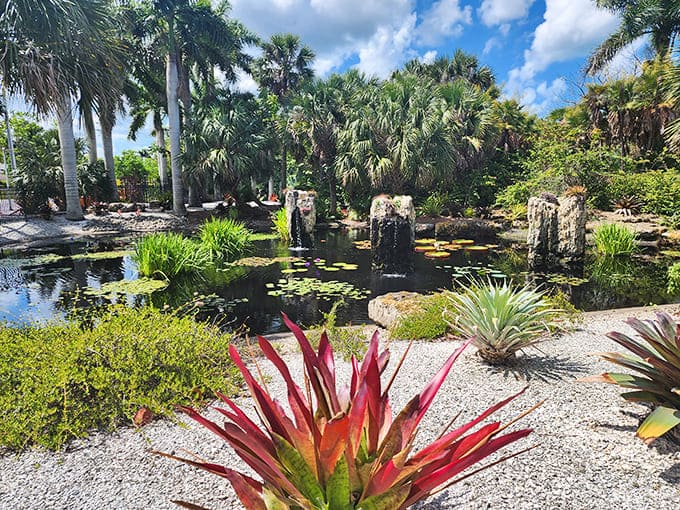 Water features and diverse plantings create distinct garden rooms, each offering its own personality and reason to slow down and actually look around.