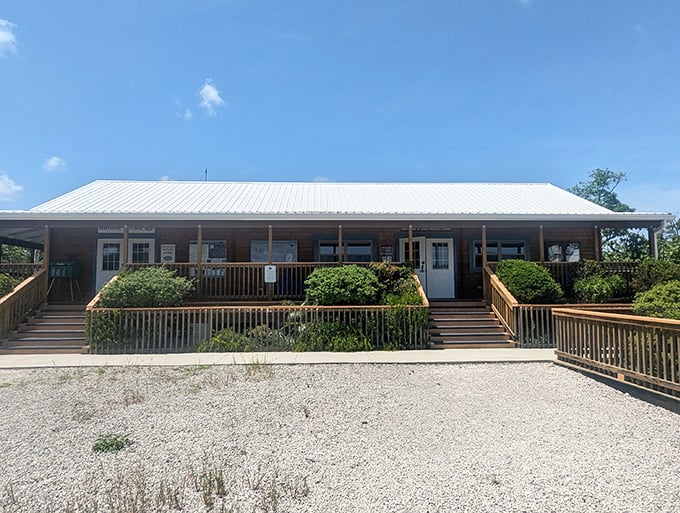 The Nature Center stands as the refuge's knowledge headquarters &ndash; where questions go in and "aha!" moments come out.