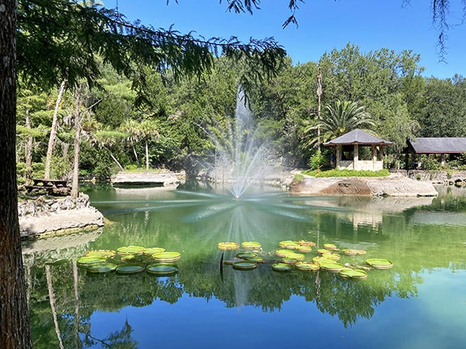 The central pond's fountain creates a hypnotic display, nature's version of a sound machine for visitors seeking zen moments.