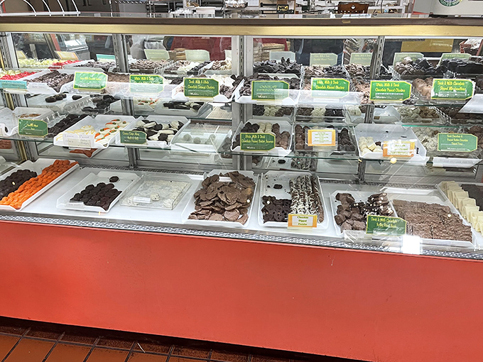 Rows of meticulously arranged fudge varieties stand at attention like sweet soldiers, each square a battlefield of flavor waiting to be conquered.