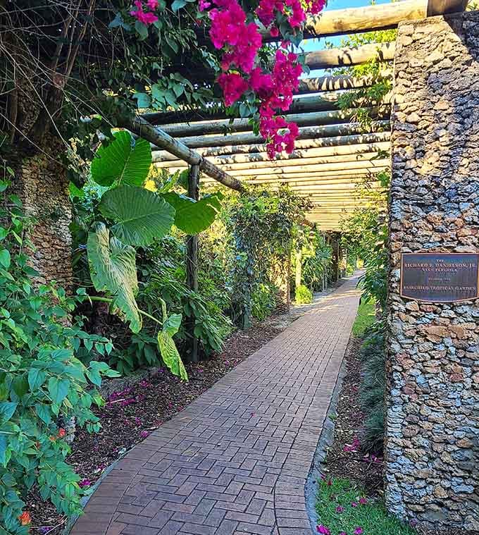 Vibrant bougainvillea cascades over the pergola like nature's confetti, celebrating absolutely nothing except its own spectacular existence.