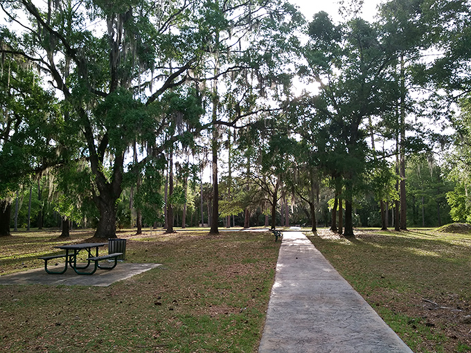 Moss-draped oaks provide perfect picnic spots where you can dine like a 1920s socialite, minus the formal attire and judgmental glances.
