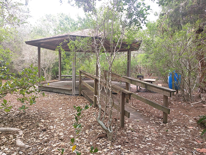 This rustic picnic shelter offers a shaded respite from Florida's sunshine, perfect for refueling before exploring more island trails.