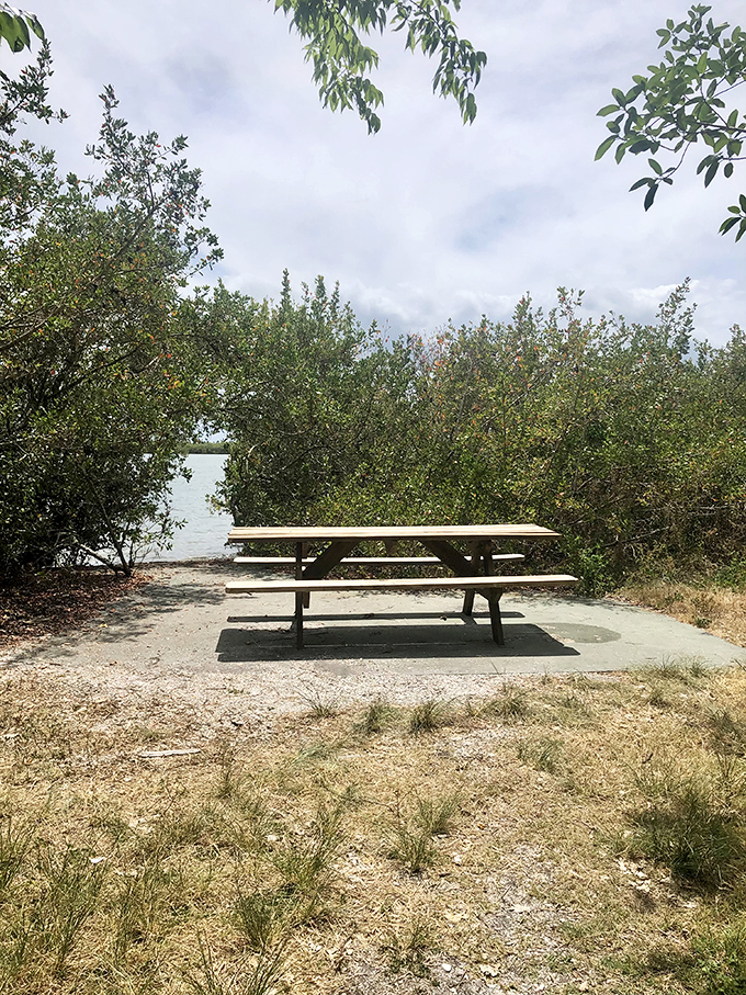 This unassuming picnic area offers front-row seats to nature's greatest show, where lunch comes with a side of serenity.