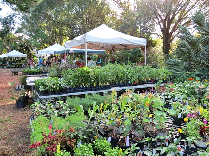 Plant sales at Heathcote: Where "I'm just going to look" becomes "I need a bigger car" in record time.