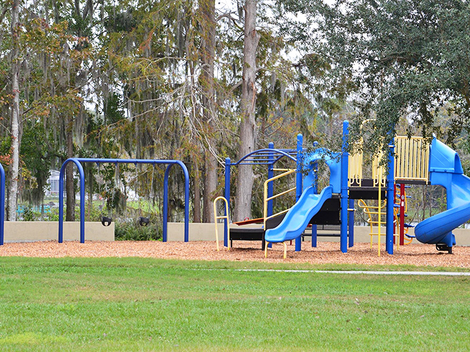 The playground blends into the natural surroundings, proving that kids can have fun without equipment visible from space.