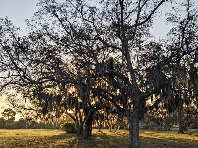 Majestic live oaks draped in Spanish moss create a sunset scene that no Instagram filter could possibly improve.