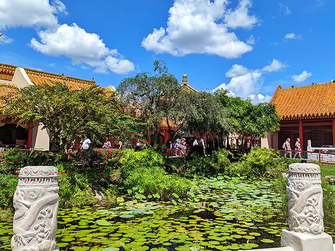 Tranquility floats on lily pads in this garden pond, offering a moment of Zen amid the theme park hustle.