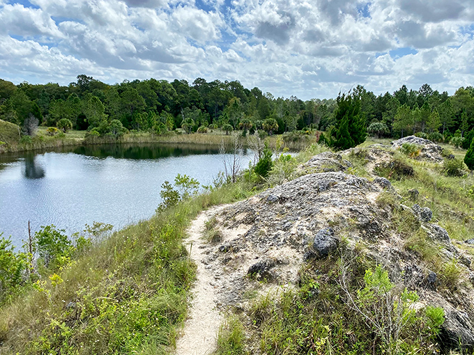 Where land meets water &ndash; Aripeka's natural preserves offer glimpses of Florida as it existed before condos and theme parks.