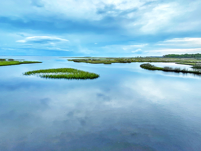 Tranquil marshlands reflect perfect blue skies, creating mirror images where water meets wetlands in this coastal ecosystem.