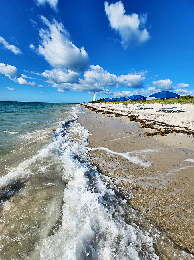 Gentle waves kiss the shoreline where the Atlantic meets Key Biscayne, creating nature's perfect meditation soundtrack.