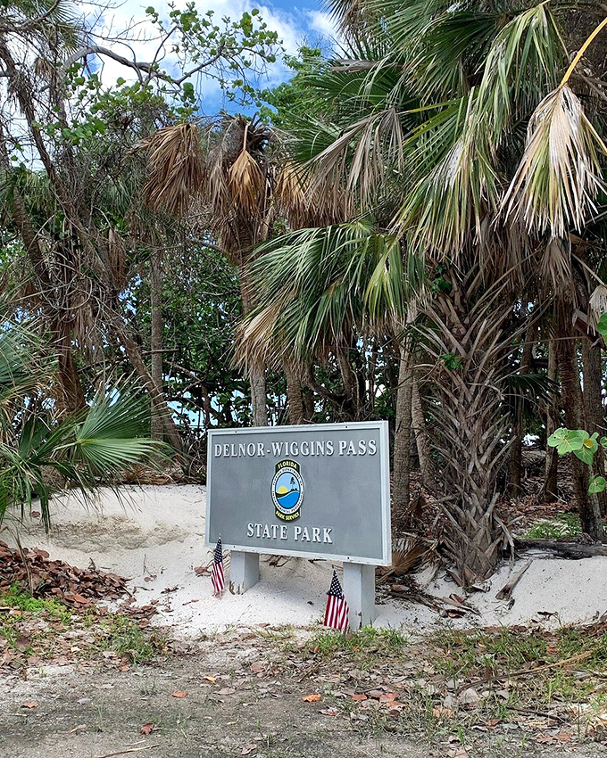 Gateway to paradise: The Delnor-Wiggins Pass State Park sign stands sentinel among swaying palms, promising natural wonders beyond.
