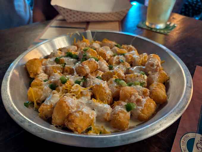 Tater tots get the gourmet treatment with toppings that transform humble spuds into something you'll actually dream about later.