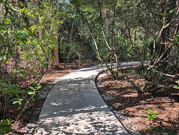 Paved paths wind through the wilderness, proving accessibility and natural beauty make excellent companions.