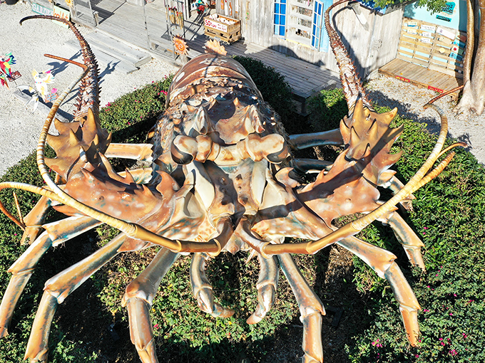 From this angle, you can almost imagine this metallic masterpiece scuttling across the parking lot in search of the nearest seafood festival.