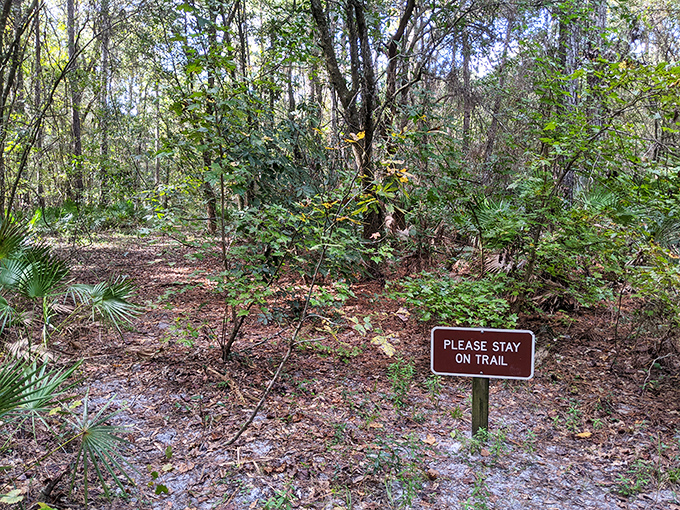 Nature's gentle reminder &ndash; sometimes the best adventures require staying on the designated path, especially when surrounded by delicate ecosystems.