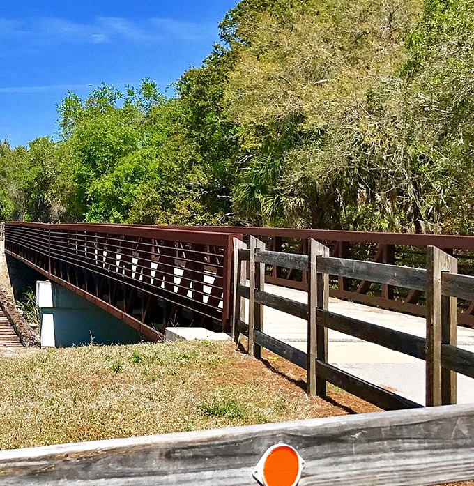 A wooden bridge connects adventurers to wilderness trails, where native palmettos and pines create shady corridors for hikers and cyclists.