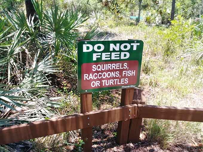 This sign basically translates to "Don't turn the wildlife into entitled freeloaders," which seems like reasonable advice for everyone involved.