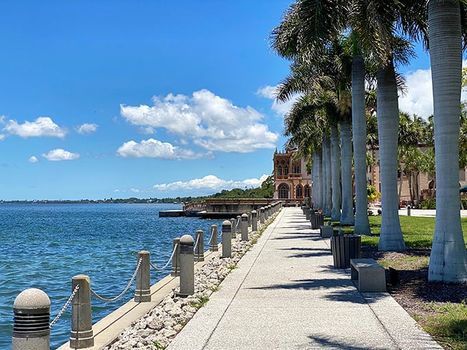 Palm-lined pathways connect the estate's treasures, creating natural galleries between the main attractions.