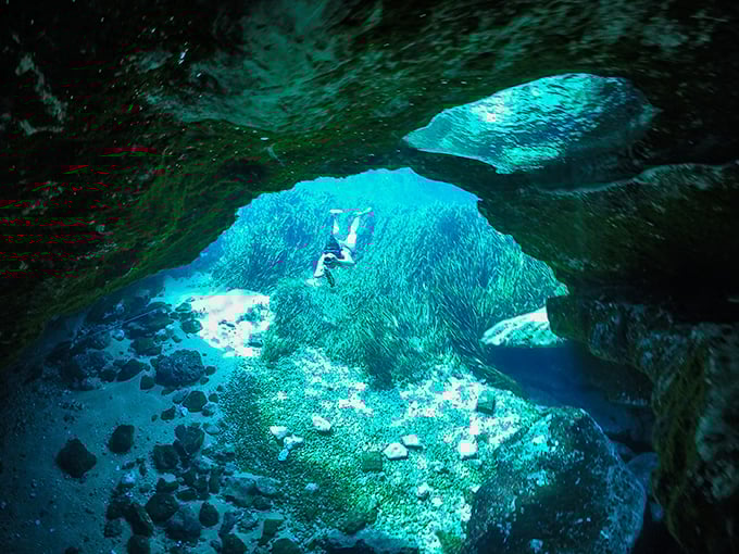Nature's cathedral: Sunlight streams through the underwater cave entrance, illuminating a world few get to experience firsthand.