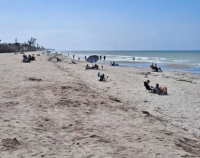 Room to breathe, space to wander – unlike Florida's crowded tourist beaches, this stretch of paradise offers peaceful solitude for shell seekers.