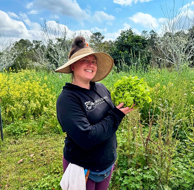 The ultimate farm-to-table moment: a proud harvester displays lettuce so fresh it might still be introducing itself to the air.