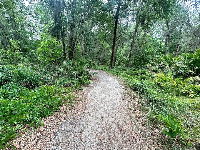 Not all who wander are lost, but on this wooded trail, getting temporarily misplaced might be the best part of your day.