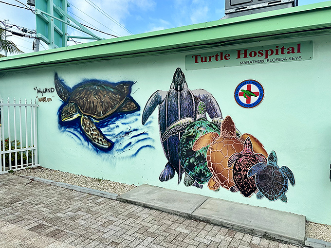 Vibrant sea turtle murals adorn the exterior walls, a colorful celebration of the diverse species that find healing within these mint-green walls.