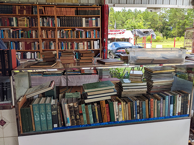 Literary treasures stacked floor to ceiling create a bibliophile's dream. Each spine represents a world waiting to be explored for just a fraction of retail price.
