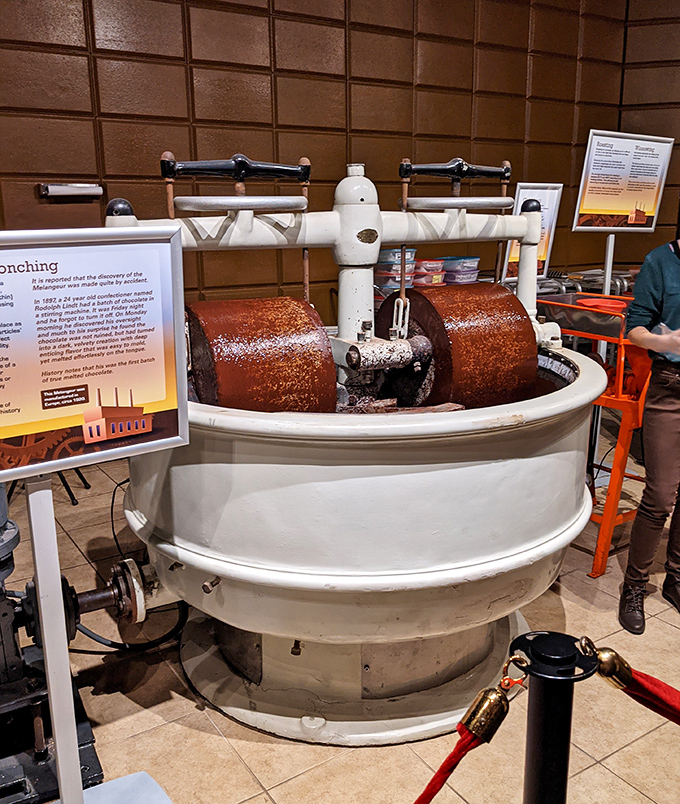 This vintage conching machine transforms cacao into liquid velvet, hypnotizing visitors with its rhythmic movements and intoxicating aromas.