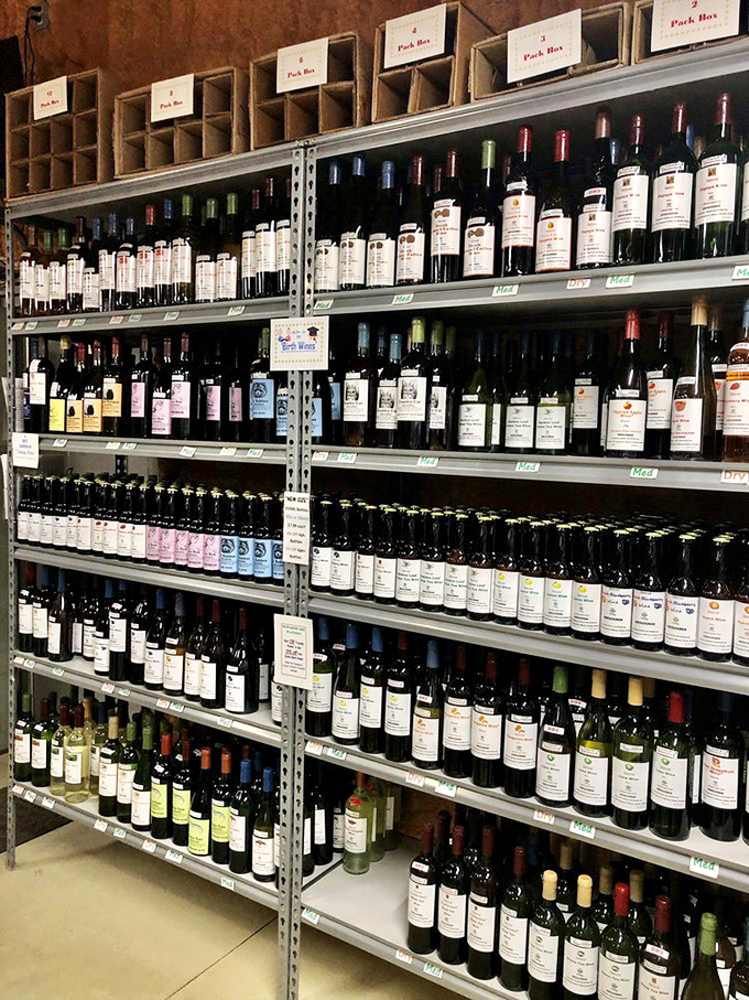 A wine lover's dream library &ndash; shelves stocked with nature's liquid creativity, each bottle representing hours of sustainable craftsmanship.