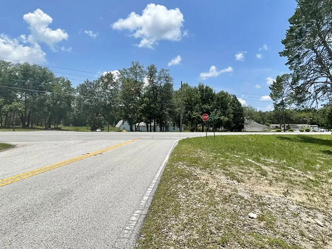 The path ahead beckons with possibilities, each curve promising a new perspective on this enchanted stretch of Florida backroad.