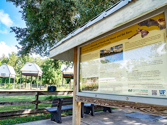 The informational display offers fascinating bat facts, turning casual observers into informed admirers of these misunderstood flying mammals.