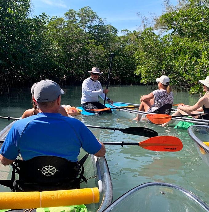 A guide shares insights about the delicate ecosystem, turning a simple paddle into an educational journey through Florida's natural history.