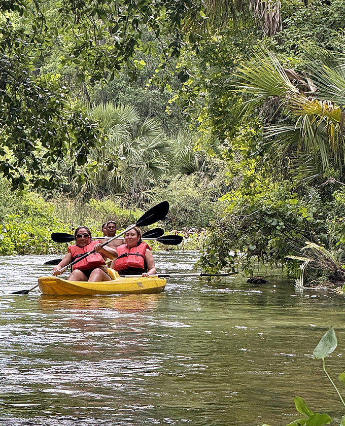 Now this is how you explore! Paddling through the jungle-like scenery, completely immersed in the peaceful, natural Florida waterway.