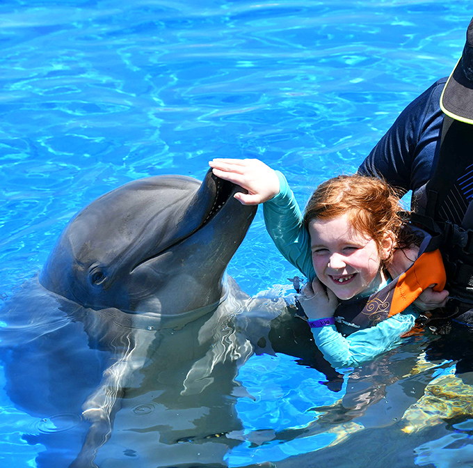 Pure joy captured in a single frame &ndash; the unforgettable moment when a child's world expands through gentle contact with these intelligent ocean ambassadors.