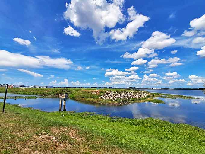 Nature and military might coexist peacefully, with wetlands reflecting clouds that this jet once soared above.