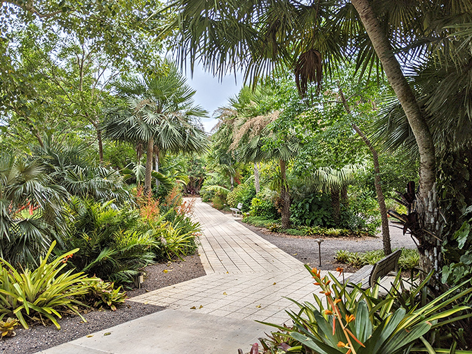 A pathway beckons through a jungle of palms &ndash; nature's version of the yellow brick road, minus the munchkins.