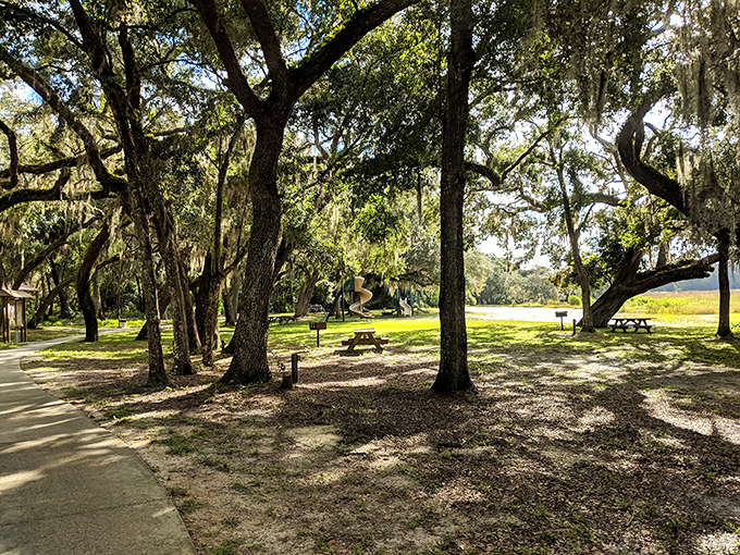 Sunlight dapples through ancient oaks, creating nature's stained glass effect over this tranquil picnic area by the lake.
