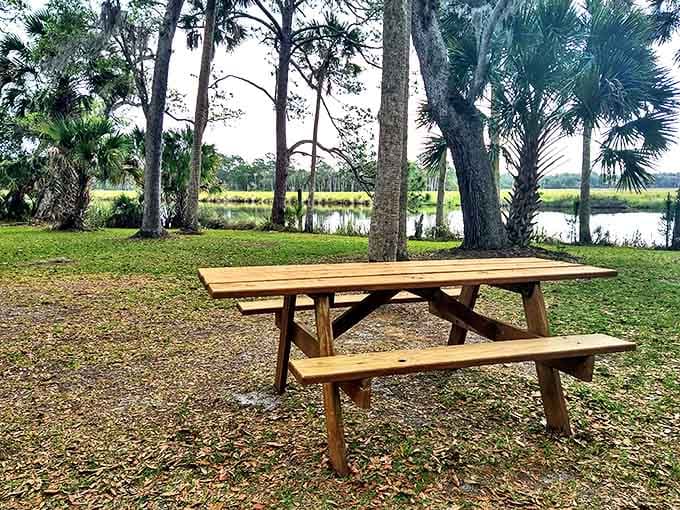 A peaceful picnic spot offers respite by the water, where alligators and history are your only dining companions.