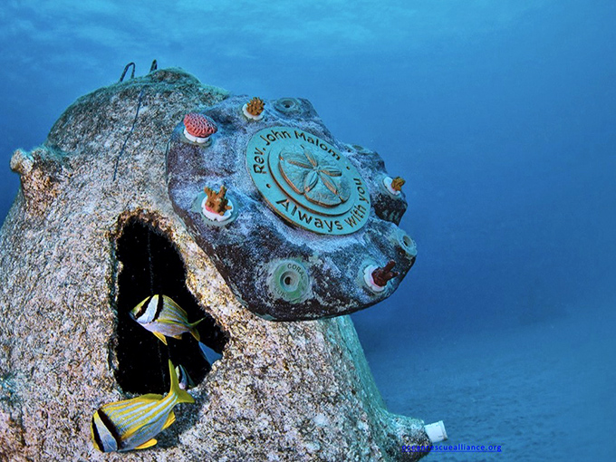 This reef ball might not win beauty contests, but to fish looking for a home, it's beachfront property with million-dollar views.