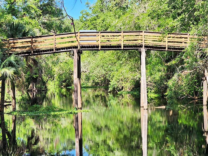 Mirror, mirror on the water: a wooden bridge stands sentinel over glass-like waters, creating perfect symmetry that doubles the forest's breathtaking beauty.