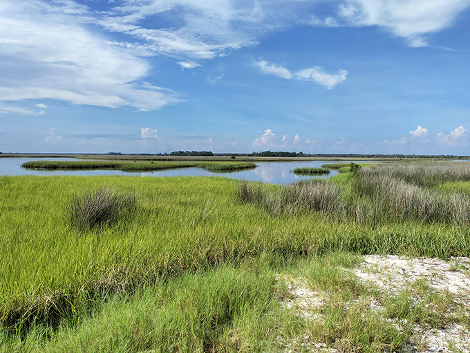 A tapestry of greens and blues stretches toward the horizon, where salt marsh grasses dance with tides in nature's perfect choreography.