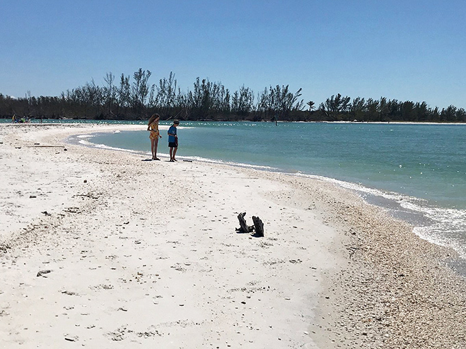 Beach wanderers discover their own private stretch of shoreline, where footprints in the sand might be the only sign of visitors.