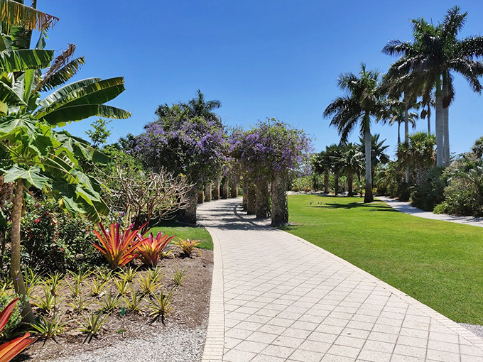 A perfectly manicured path leads visitors through a botanical wonderland where tropical plants frame every vista.
