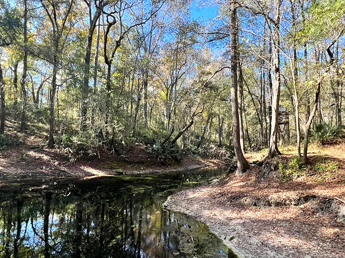 The shoreline tells a geological story millions of years in the making, where water meets limestone in an ancient dance.