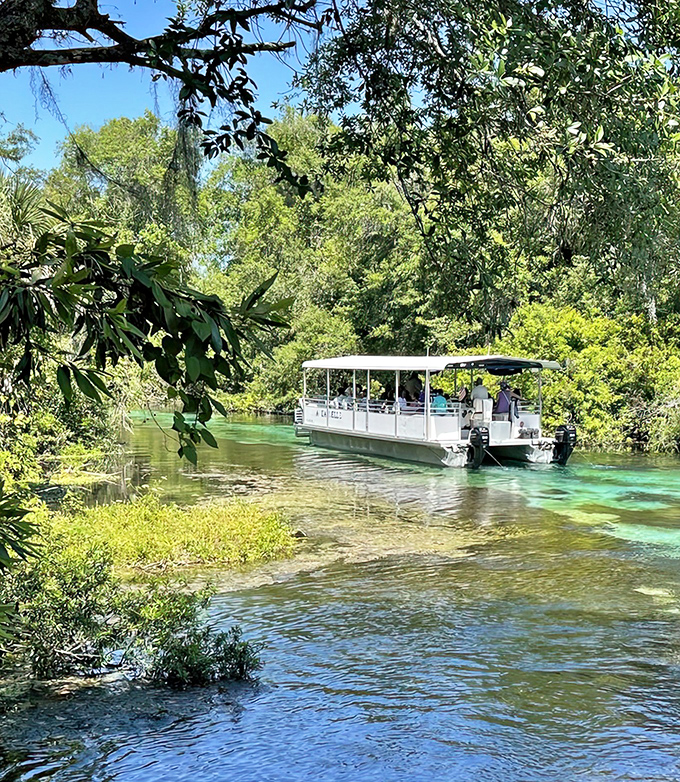 Nature's VIP experience &ndash; short river cruises offer concentrated doses of wonder as you glide through waters clearer than most people's life goals.